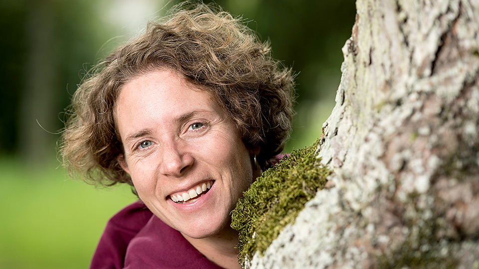 BAUMWERKER - RUND UMS GEHÖLZ